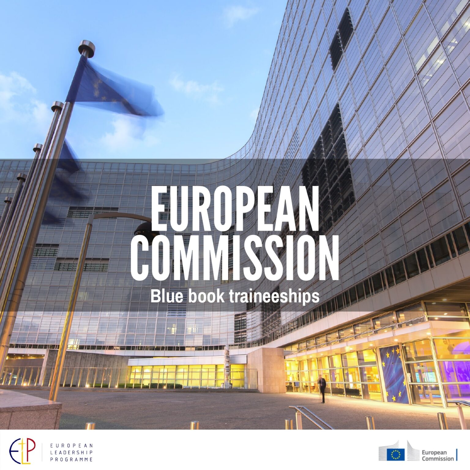 Traineeships - The European Leadership Programme