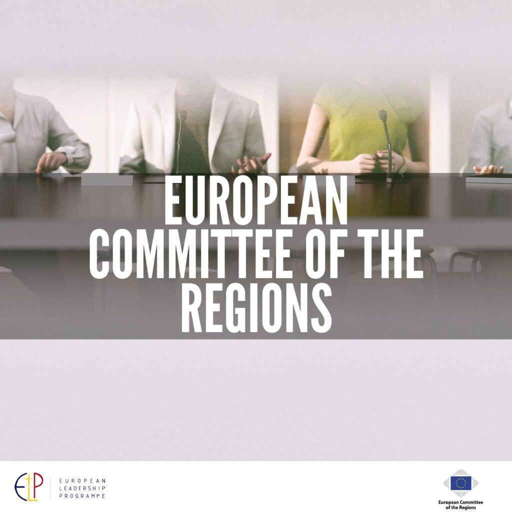 Traineeships - The European Leadership Programme