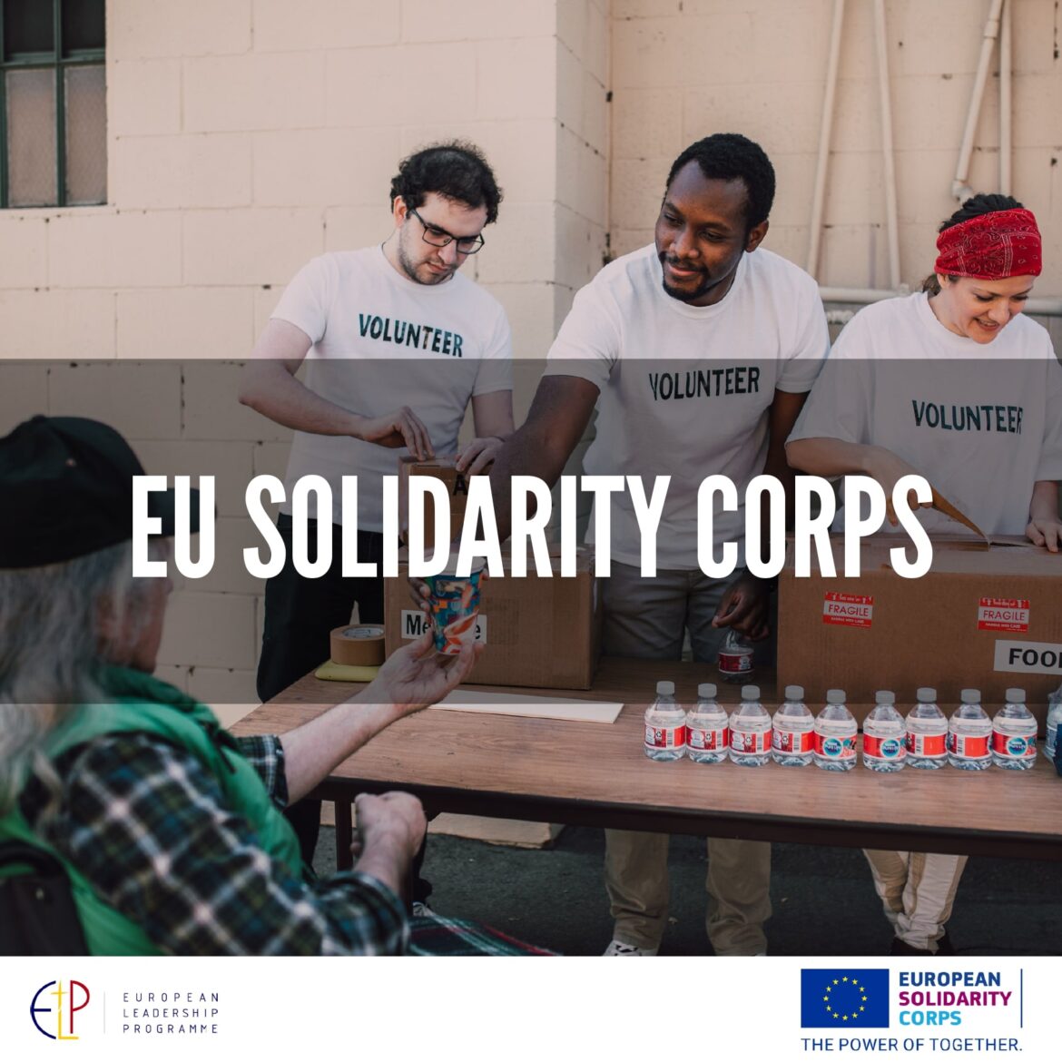 Traineeships - The European Leadership Programme